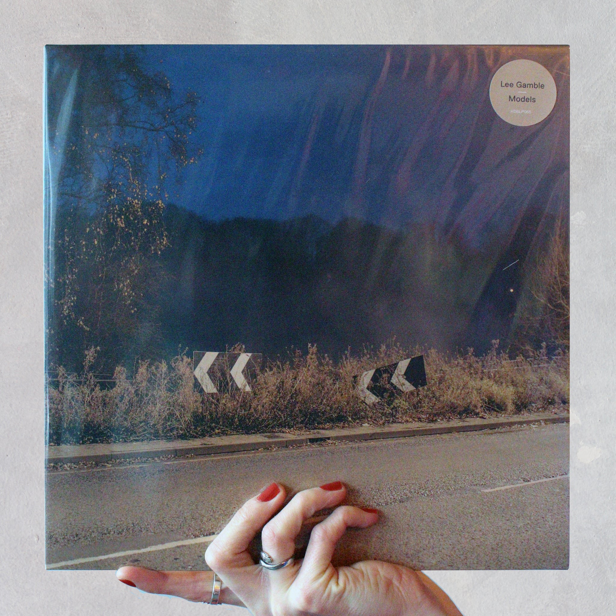 Lee Gamble - 'Models' (2023) Vinyl – AAA